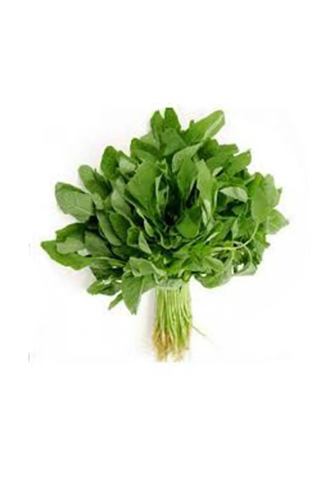 Amarath Green-Imbwija | Best Price in 2024 at murukali.com — Murukali.com