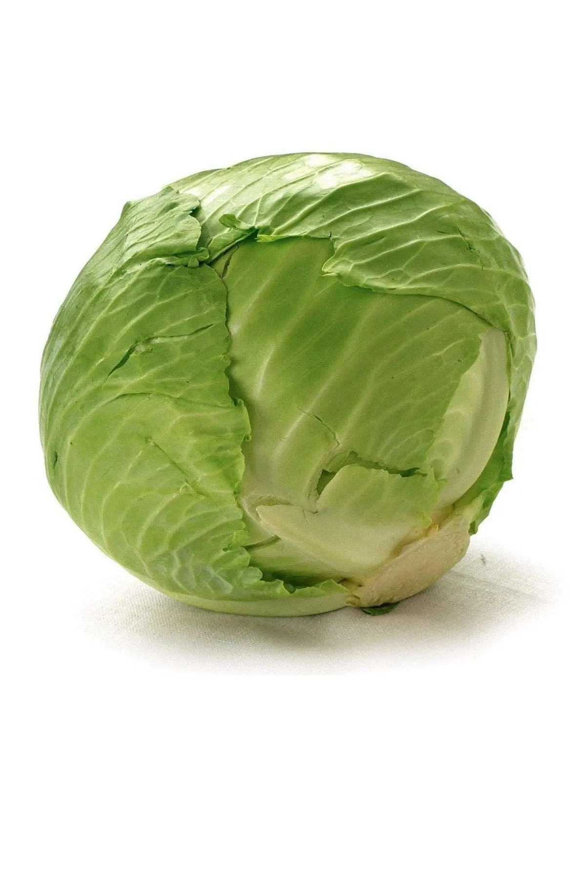 Cabbage - Ishu /Pc | Best Price in 2024 at murukali.com — Murukali.com