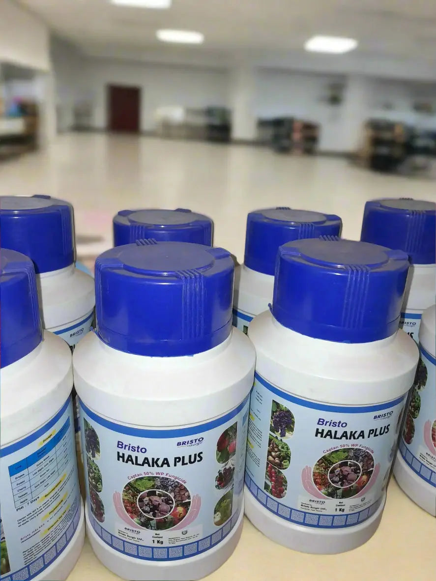 Halaka - Murukali.com