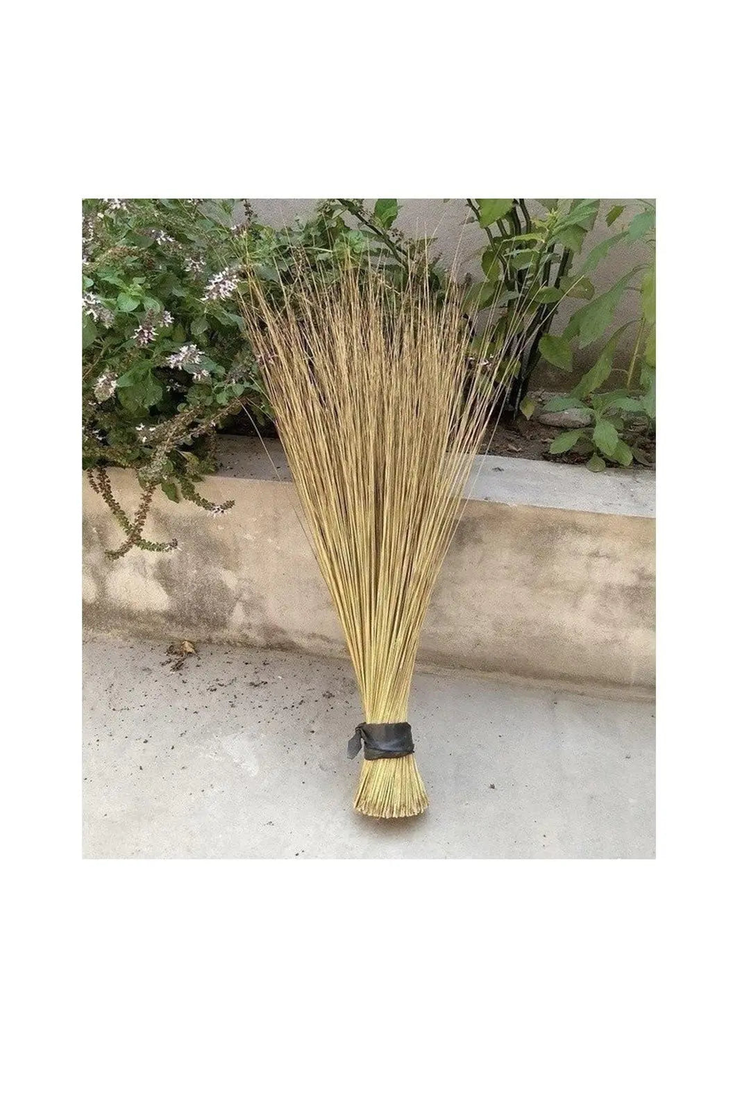 Local Sweeping Broom /pc | Best Price in 2024 at murukali.com