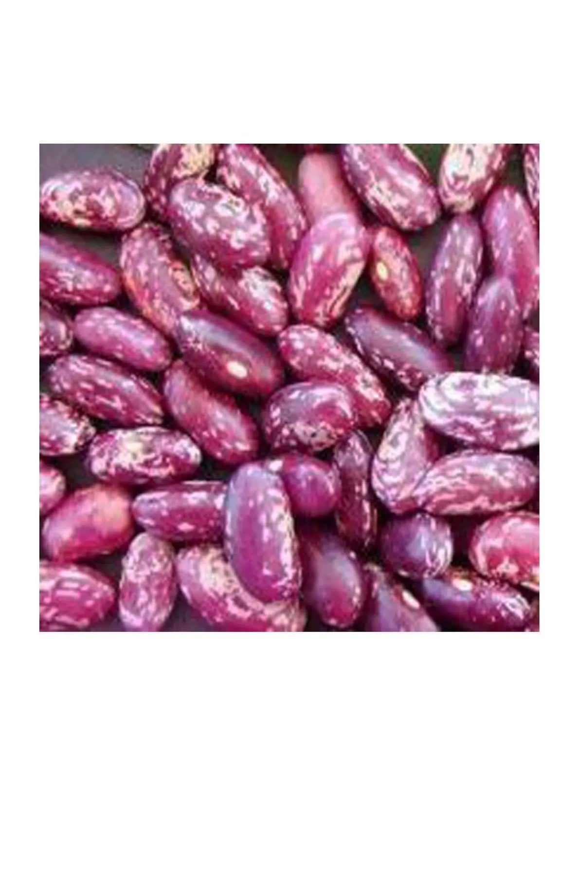 Mutiki Dry Beans /kg | Best Price in 2024 at murukali.com — Murukali.com